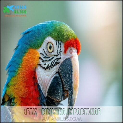 Beak Trimming for Birds: Pain-Free Techniques Every Owner Should Know