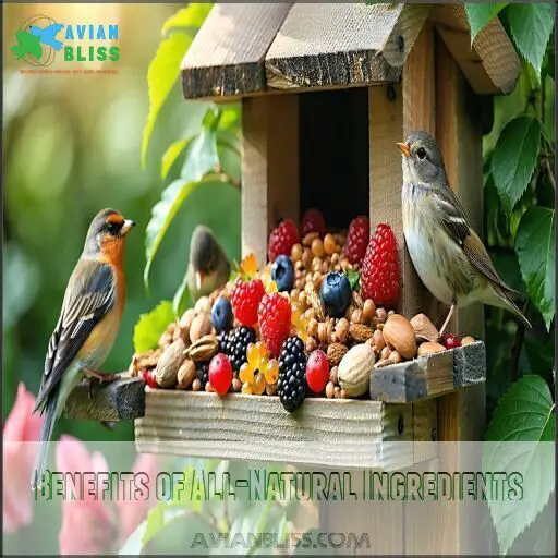 Organic Bird Food Without Sunflower Seeds: Top 5 Healthy Seedless Blends