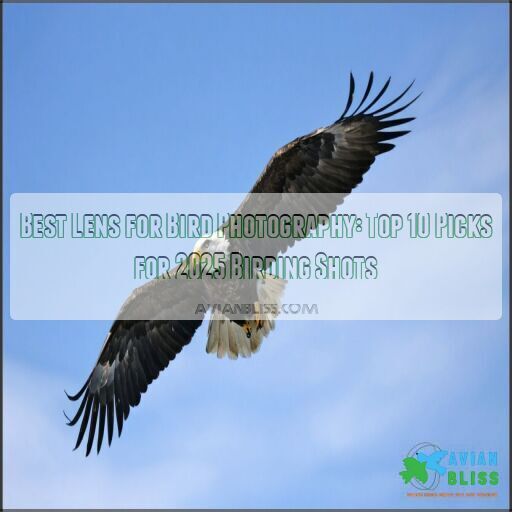 Best Lens for Bird Photography: Top 10 Picks for 2025 Birding Shots