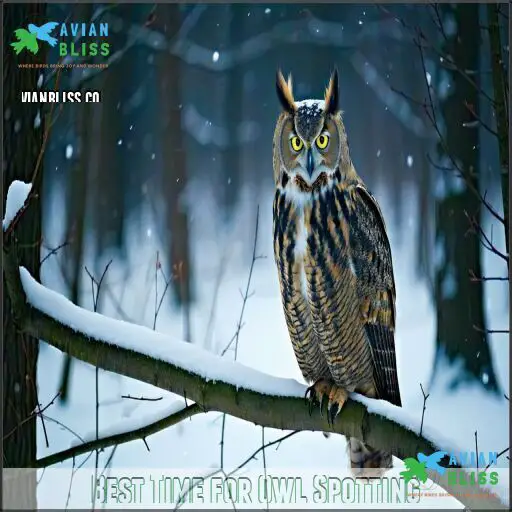 Best Time to Look for Owls: Tips for Spotting Them Day or Night