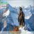 Mountain Bird Habitats: 27 Stunning Species That Thrive at High Altitudes