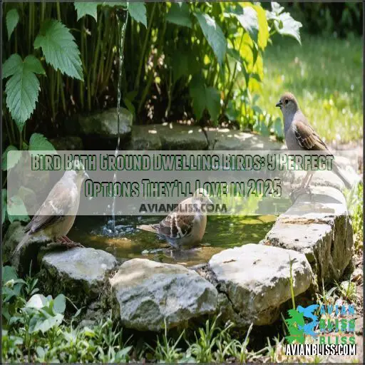 Bird Bath Ground Dwelling Birds: 9 Perfect Options They'll Love in 2025