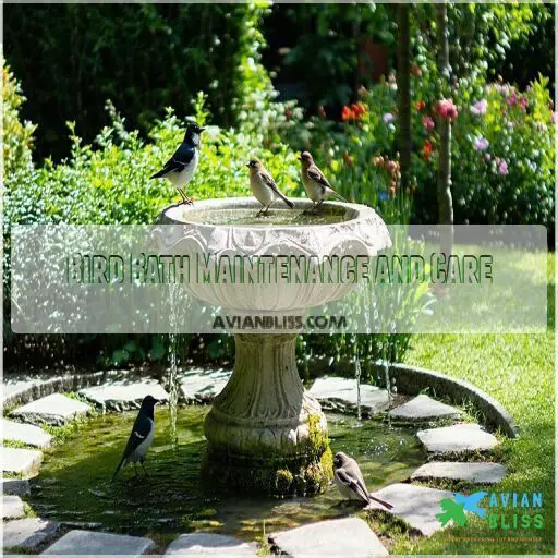 Natural Stone Bird Bath Designs: Elegant Styles for Your Garden