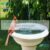Bird Bath No Algae Growth: Tips to Keep It Clean and Healthy