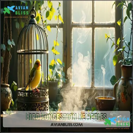 Home Remedies Bird Congestion: Natural Ways to Help Your Feathered Friend