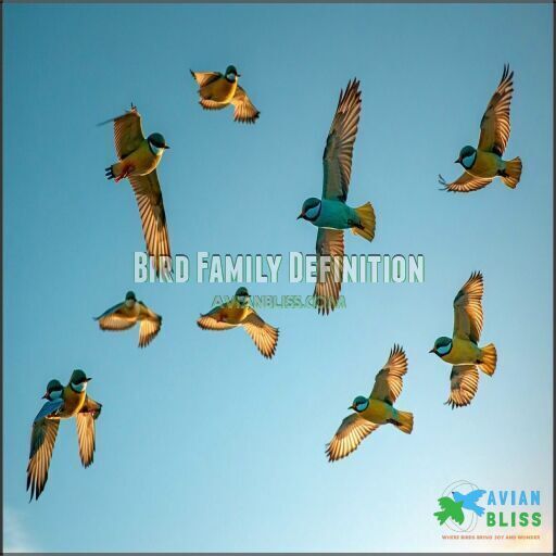 Basic Facts About Bird Families: 242 Groups That Rule Earth's Skies [2025]