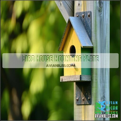 Bird House Mounting Pole Solutions: 9 Best Options That Birds Love in 2025