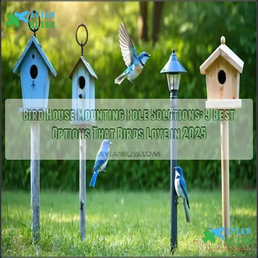 Bird House Mounting Pole Solutions: 9 Best Options That Birds Love in 2025