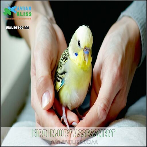 Bird Leg Wound Care Tips: Steps for Healing and Recovery Fast