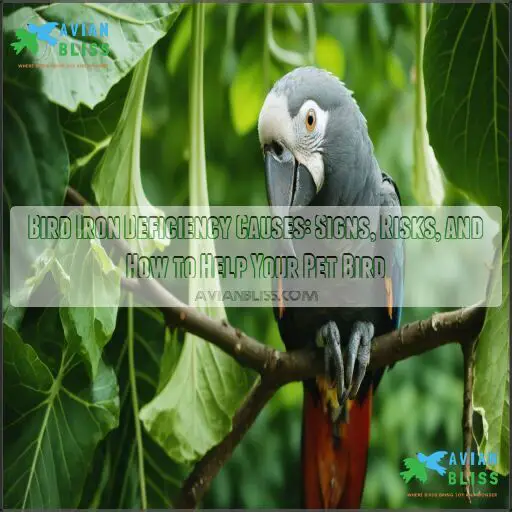 Bird Iron Deficiency Causes: Signs, Risks, and How to Help Your Pet Bird
