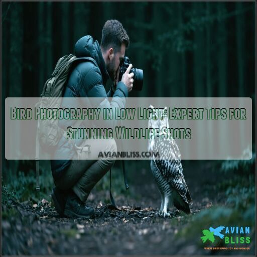 Bird Photography in Low Light: Expert Tips for Stunning Wildlife Shots