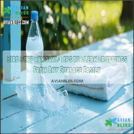 Bird Poop Removal: Tips to Clean Droppings From Any Surface Easily