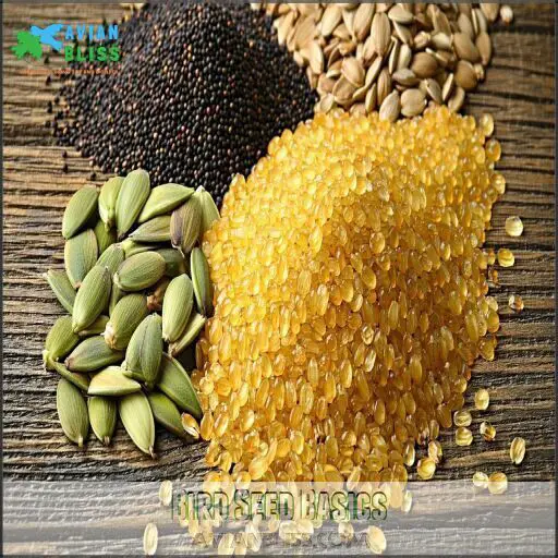 Bird Seed Types: 8 Must-Have Options That Wild Birds Can't Resist!