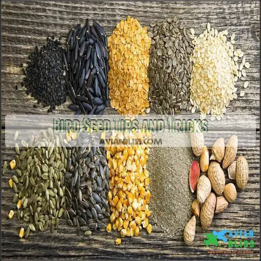 Bird Seed Types: 8 Must-Have Options That Wild Birds Can't Resist!