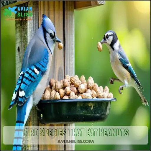 Can Birds Eat Salted Peanuts? The Shocking Truth Bird Lovers Need to Know!