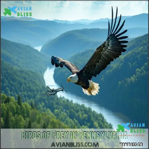 Pennsylvania Birds of Prey: ID Guide, Facts, Photos & Conservation