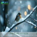 Where Do Birds Sleep at Night? Fascinating Facts About Roosting Birds