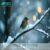 Where Do Birds Sleep at Night? Fascinating Facts About Roosting Birds