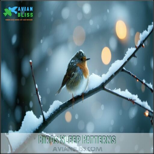 Where Do Birds Sleep at Night? Fascinating Facts About Roosting Birds