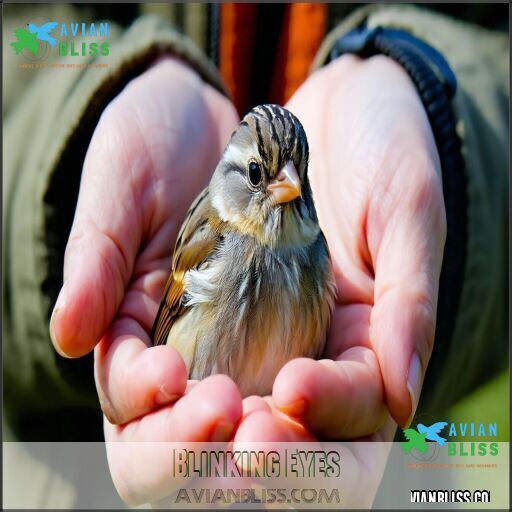 How to Tell if a Bird is Dead or Just Stunned: 7 Critical Signs to Know ...