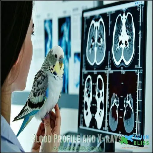 Avian Head Tilting Disease: 5 Warning Signs Every Bird Owner Must Know