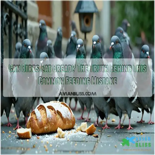 Can Birds Eat Bread? The Truth Behind This Common Feeding Mistake