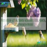 Can Birds Eat Cheese? Safe Options, Risks, and Feeding Guide