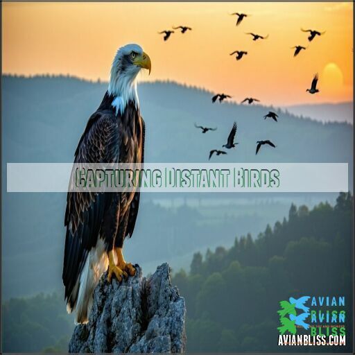 Best Lens for Bird Photography: Top 10 Picks for 2025 Birding Shots