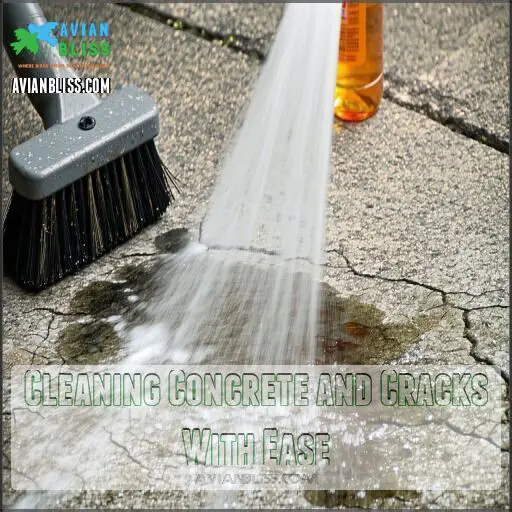 Bird Poop Removal: Tips to Clean Droppings From Any Surface Easily