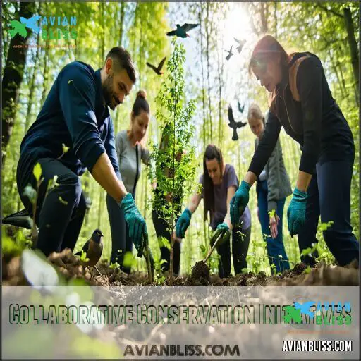 Bird Conservation Status Explained: 3 Critical Steps to Save At-Risk ...