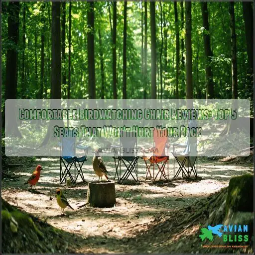 Comfortable Birdwatching Chair Reviews: Top 5 Seats That Won't Hurt ...