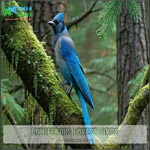 Mountain Bird Habitats: 27 Stunning Species That Thrive at High Altitudes