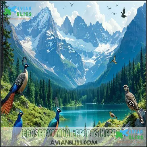 Mountain Bird Habitats: 27 Stunning Species That Thrive at High Altitudes