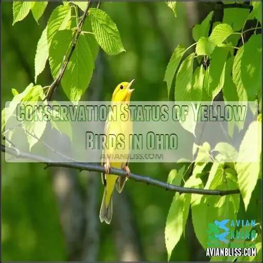 Yellow Birds in Ohio: 15 Stunning Species You Must See! (With Photos)