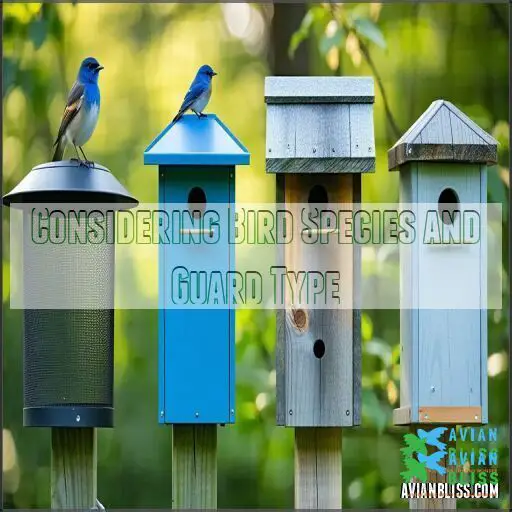 Bird House Predator Guard Installation: Protect Birds With These Tips