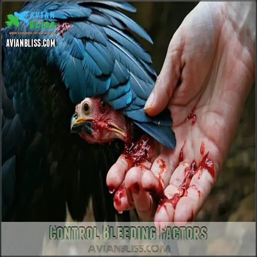 Stop Bleeding Bird Wound Quickly: Easy Steps to Save Your Feathered Friend
