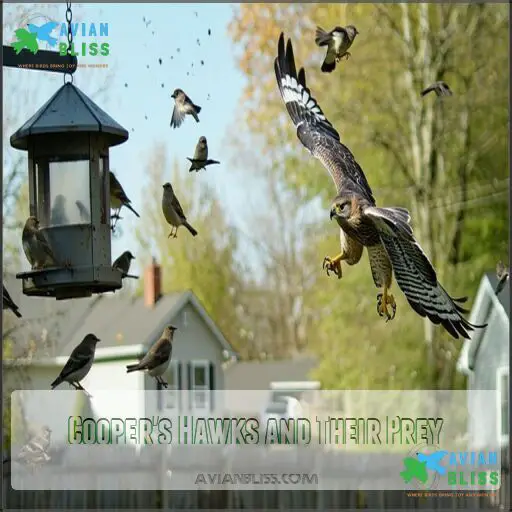 Why Do Hawks Eat Other Birds? Learn Their Diet and Hunting Secrets