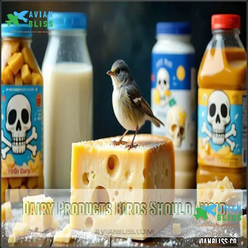 Can Birds Eat Cheese? Safe Options, Risks, and Feeding Guide