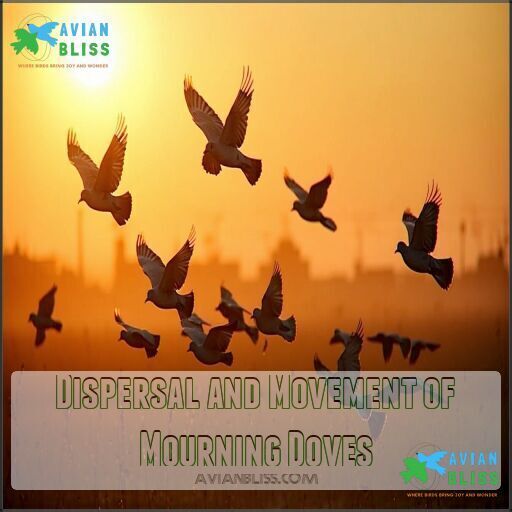 How Long Do Mourning Doves Live? Lifespan, Survival, and Fascinating Facts