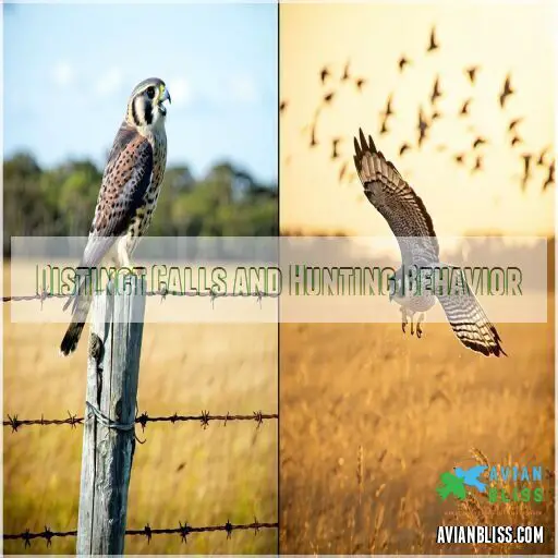 Falcons in Florida: Types, Habitats, and Where to Spot Them