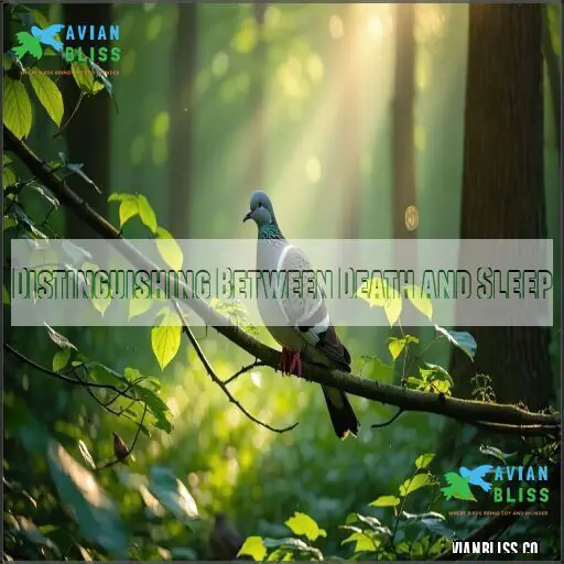 How to Tell if a Bird is Dead or Just Stunned: 7 Critical Signs to Know ...