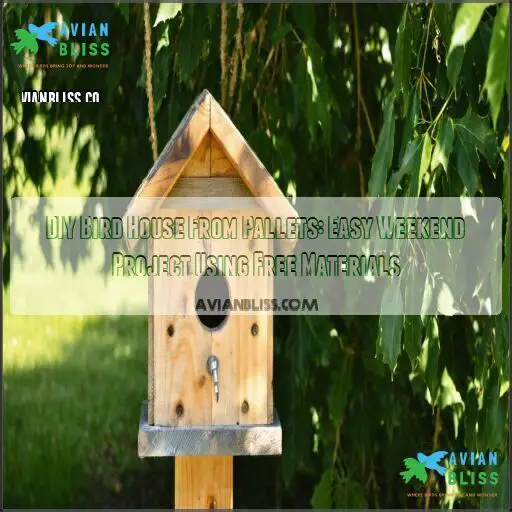 DIY Bird House From Pallets: Easy Weekend Project Using Free Materials