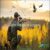 Doves in Georgia: Hunting, Conservation, Ecosystem, and Migration Insights