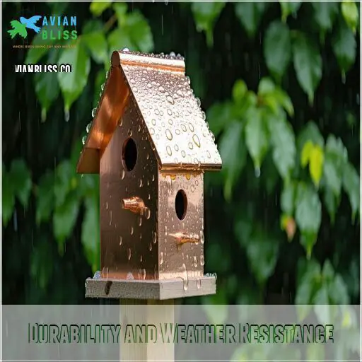 Bird House Roof Designs: 15 Stunning Styles to Attract More Feathered ...