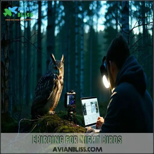 Night Birds in Wisconsin: Guide to Nocturnal Species and How to Spot Them