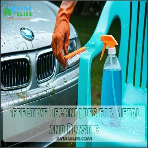 Bird Poop Removal: Tips to Clean Droppings From Any Surface Easily