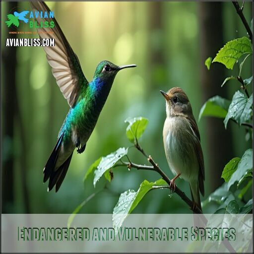 Bird Conservation Status Explained: 3 Critical Steps to Save At-Risk ...