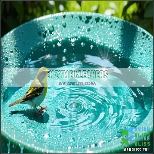 Bird Bath No Algae Growth: Tips to Keep It Clean and Healthy