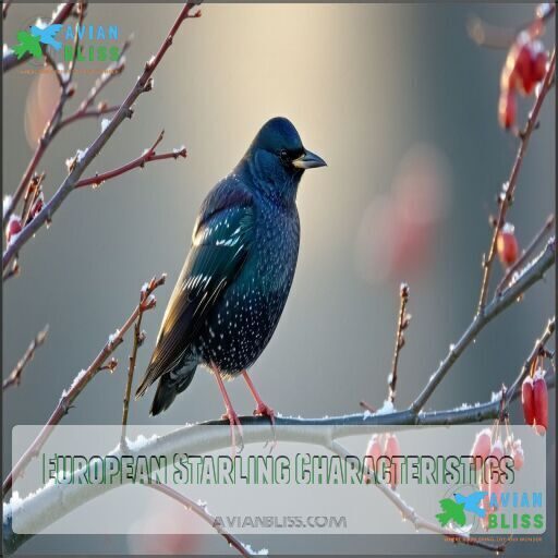 Black Birds in Virginia: 12 Stunning Species You Need to See Now!