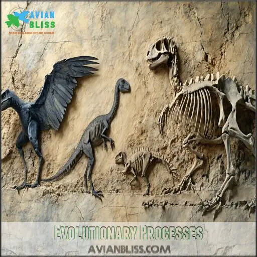 Bird Facts About Bird Evolution: How Dinosaurs Took Flight